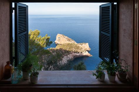 Image result for View Thru Window