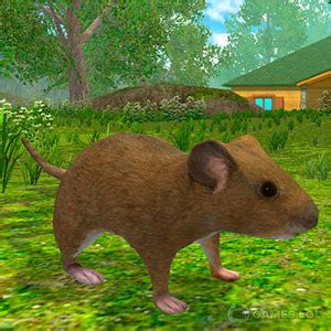 Image result for Mouse Simulator