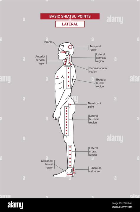 Image result for Basic Shiatsu