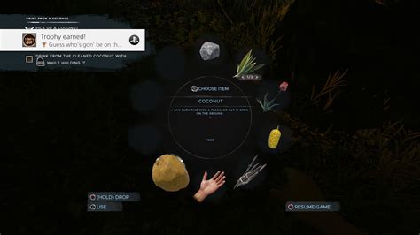 Image result for Stranded Deep PS4 Disc