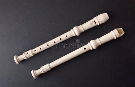 Image result for Recorder Side View