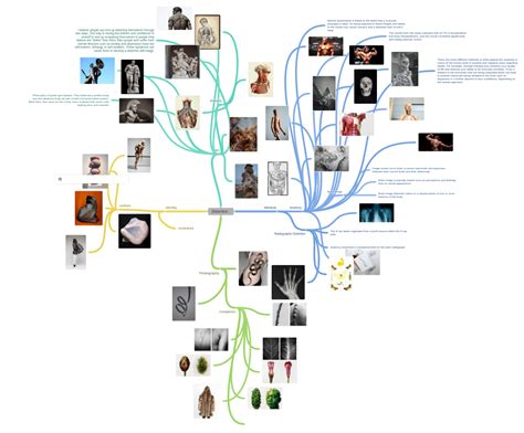 Image result for Distortion Mind Map