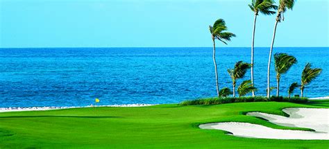 Image result for Turtle Bay Golf Course