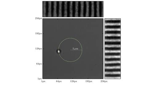 Image result for Calibration Factor Microscope