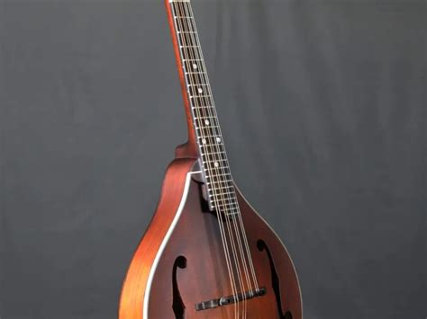 Image result for 10 String Mandolin