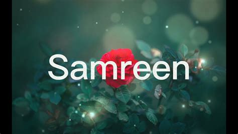 Image result for Samreen Cable