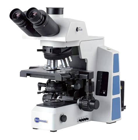 Image result for Biological Microscope