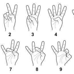 Image result for Sign Numbers 1 20