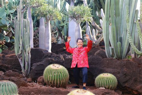 Image result for Yang Style Short Form Lesson 1 8