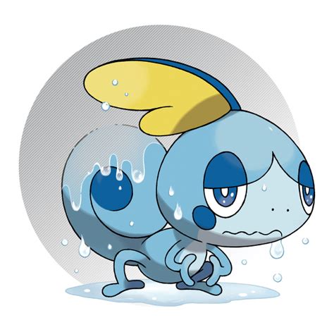 Image result for Sobble Evolves into Drizzle