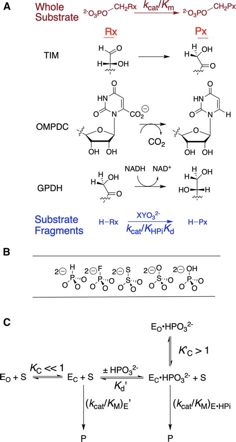 Image result for Substrate Reactions