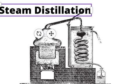 Image result for Steam Distillation Procedure