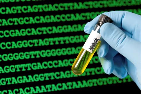 Image result for Genetic Testing