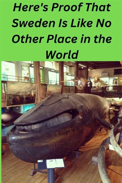 Image result for Pictures That Cannot Be Explained