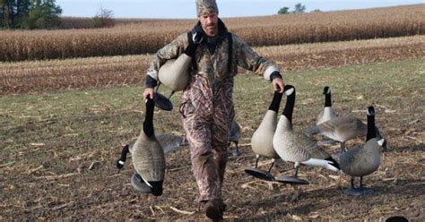 Image result for Goose Hunting Setups