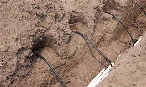 Image result for Subsurface Drip Irrigation System