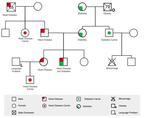 Image result for Detailed Genogram