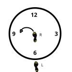 Image result for Discus Rotation