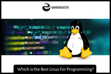 Image result for Best Linus Programers