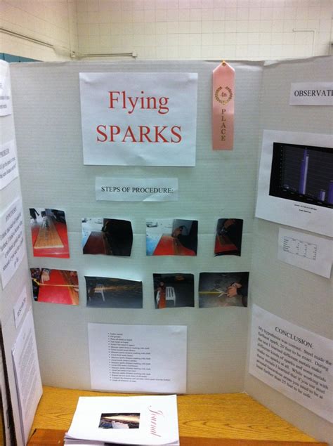 Image result for Science Project Samples