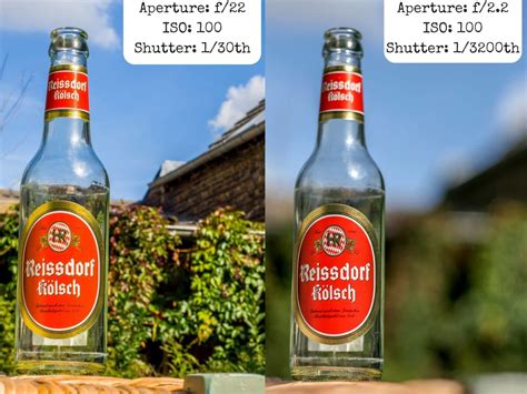 Image result for Depth of Field Photography Examples