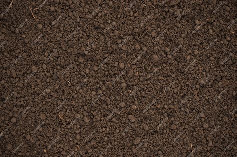 Image result for Planting in Humus