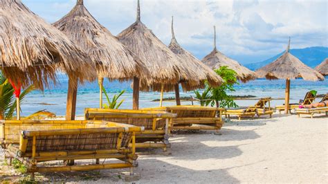 Image result for Java Bali