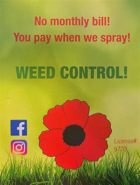 Image result for Weed Control Service
