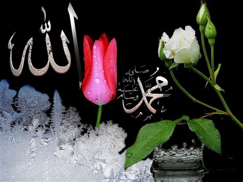 Image result for Beautiful Allah Muhammad