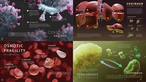 Image result for Basic Principles of Biomedical Drawing