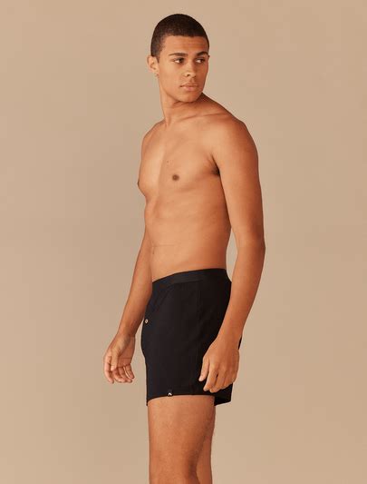 Image result for Boxer Model Mengine