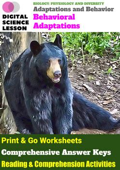 Image result for Behavior Adaptation