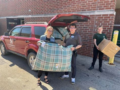 Image result for Scheels Sporting Goods Appleton WI