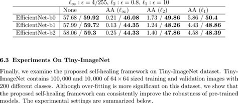 Image result for Image Net Accuracy Baseline