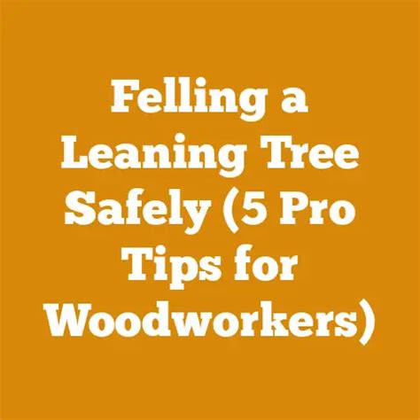 Image result for Felling a Tree Safely