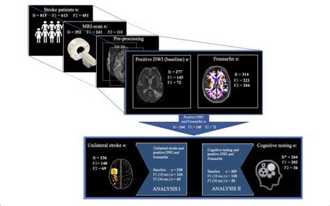 Image result for Random Selection From a Large Population