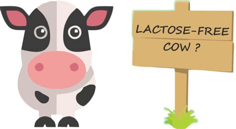 Image result for Lactose Intolerance On Colonoscopy