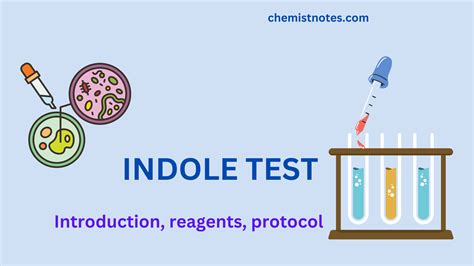 Image result for Indole Test Procedure
