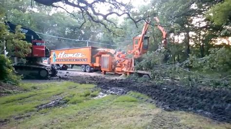 Image result for Massive Machine Tree Shredder