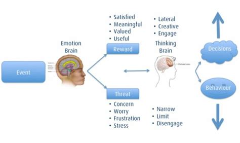 Image result for How Emotions Work