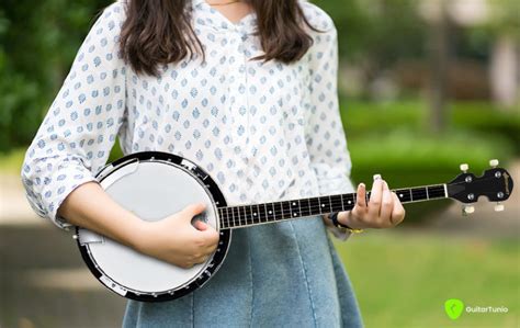 Image result for Basic Banjo Strums