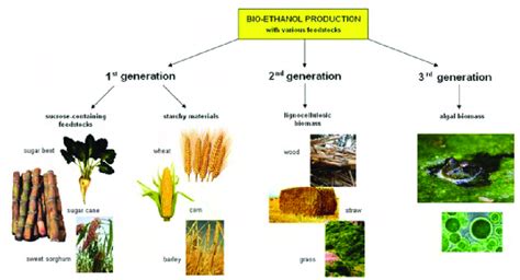 Image result for Bioethanol Production Process