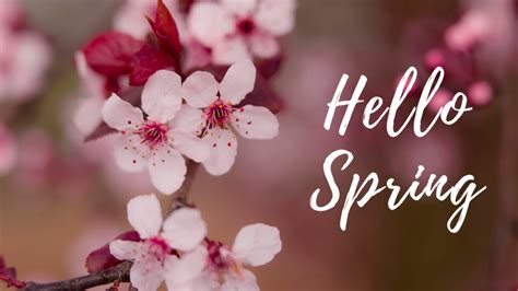 Image result for Hello Spring Wallpaper