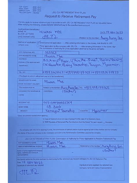 Image result for CV Form Sample PDF