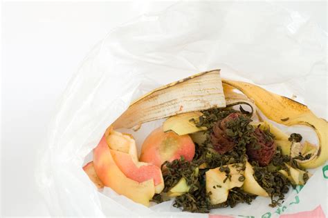 Image result for Food Waste Bioethanol