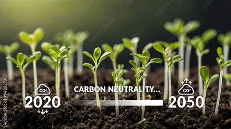 Image result for Zero Net Carbon Explained