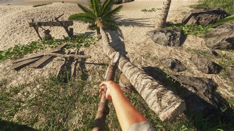 Image result for Dead Man Video Game Stranded Deep