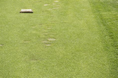 Image result for Tee Off Area at Golf Course