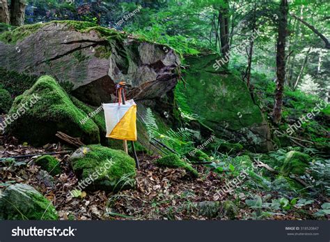 Image result for Manual Control Point Symbol