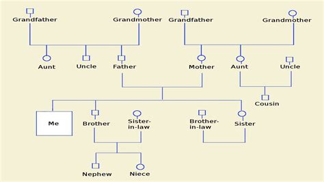 Image result for How to Develop a Genogram
